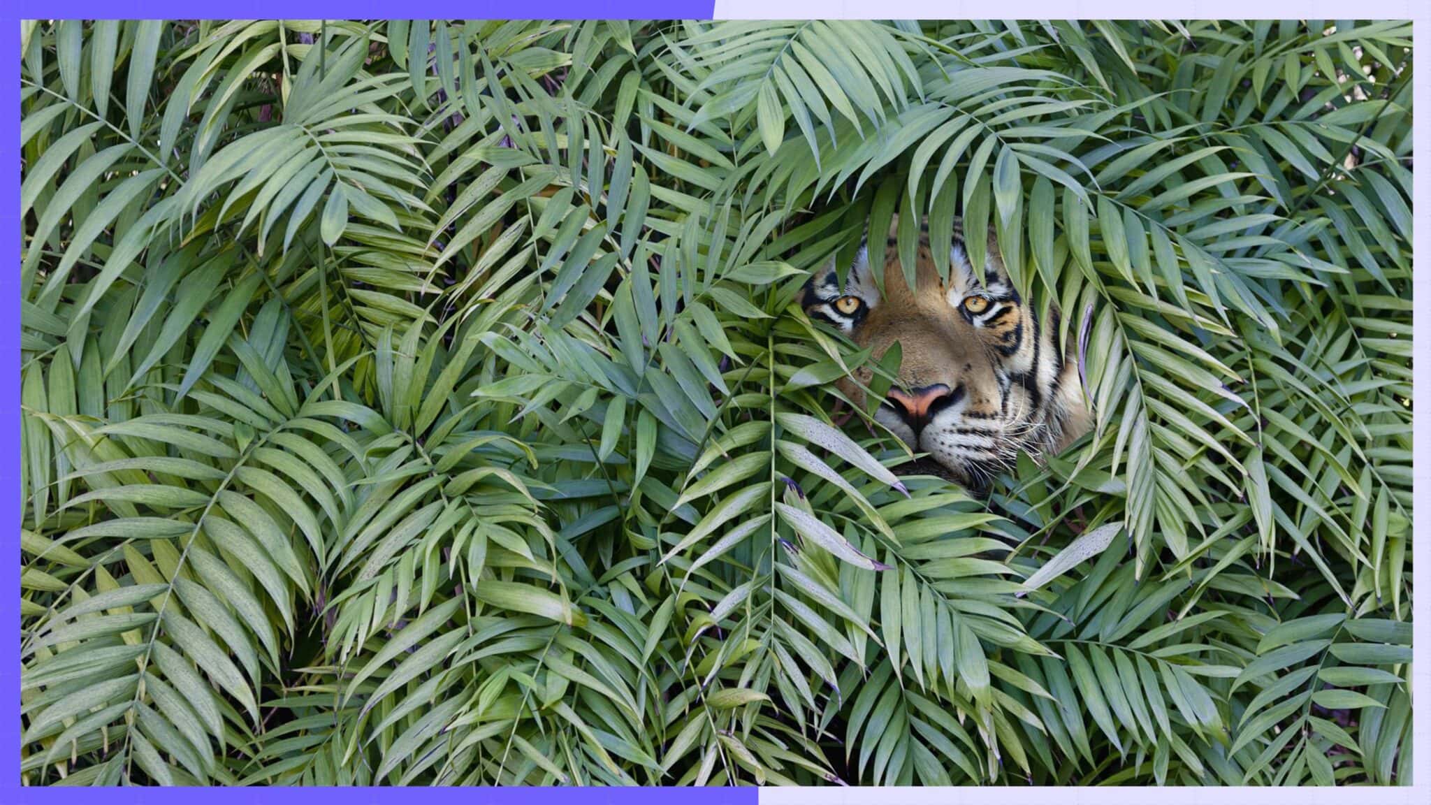 Testamentul olograf: Cum se face un testament acasă? - Codul civil al ...